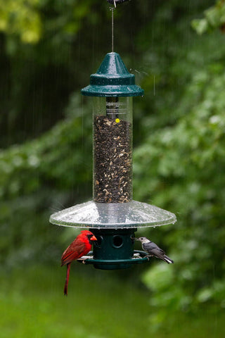 Brome Bird Care EStore – BROME BIRD CARE Online Store