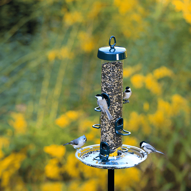 BirdsUP™ 1" Single Pole Kit – BROME US