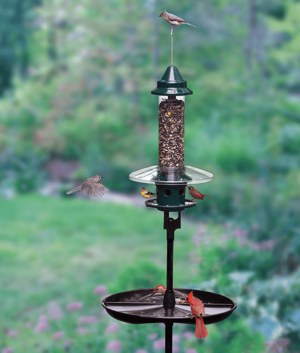 Podium Kits – BROME US